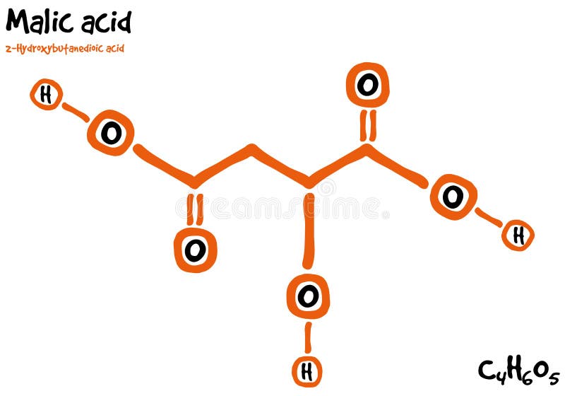 Drawn Molecule and Formula of Malic Acid Stock Vector - Illustration of ...
