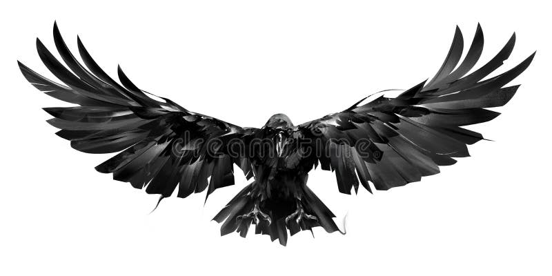 Drawn Raven Bird in Flight on a White Background Stock Illustration ...