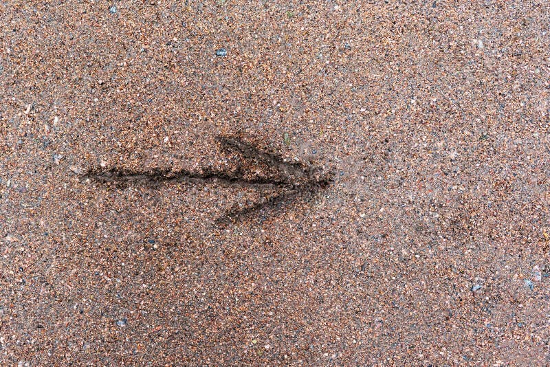 Drawn on the Sandy Surface of the Arrow Pointing To the Right Stock ...