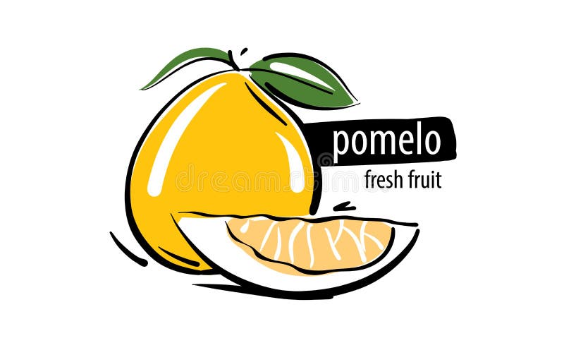Draw Pomelo Fruits Stock Illustrations – 12 Draw Pomelo Fruits Stock ...