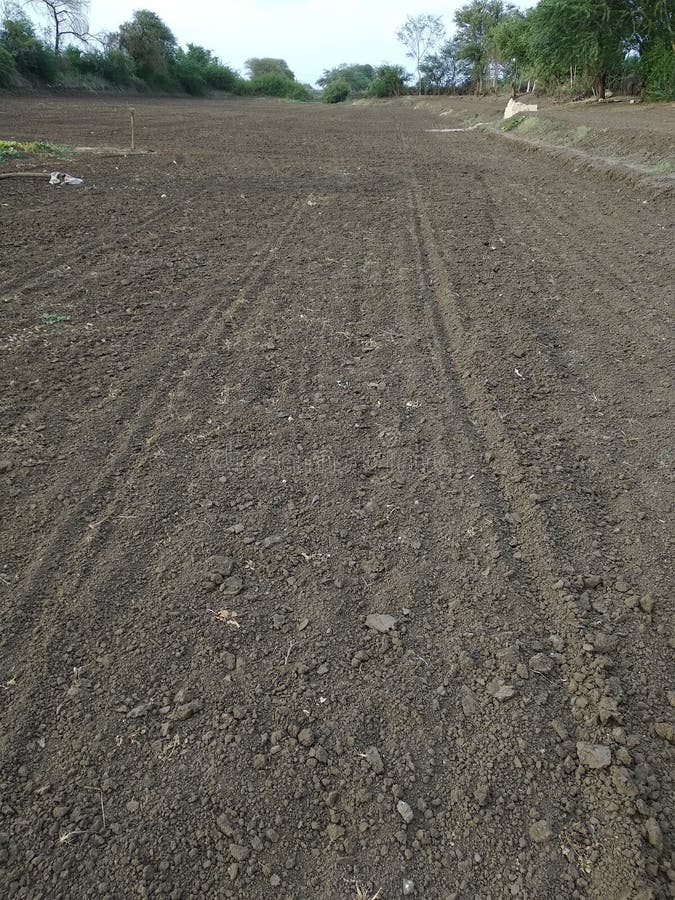 Dray farm in india stock photo. Image of barren, crope - 153110876
