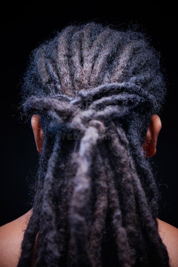 Dreadlocks stock image. Image of head, human, braids - 62783031