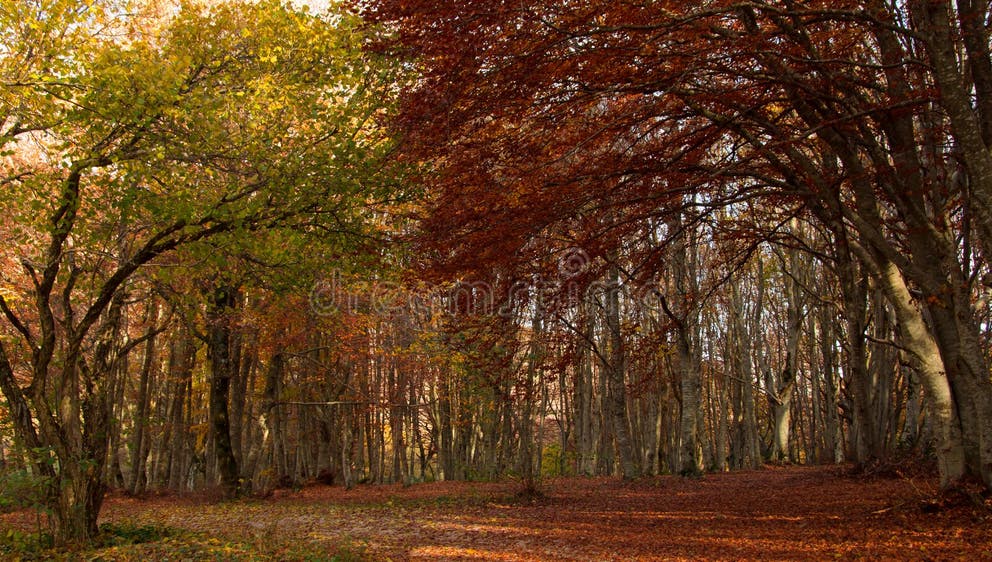 1,002 Dream Scenic Ridge Stock Photos - Free & Royalty-Free Stock ...