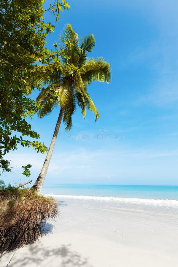 Dream beach stock image. Image of tourism, summer, beautiful - 27229561