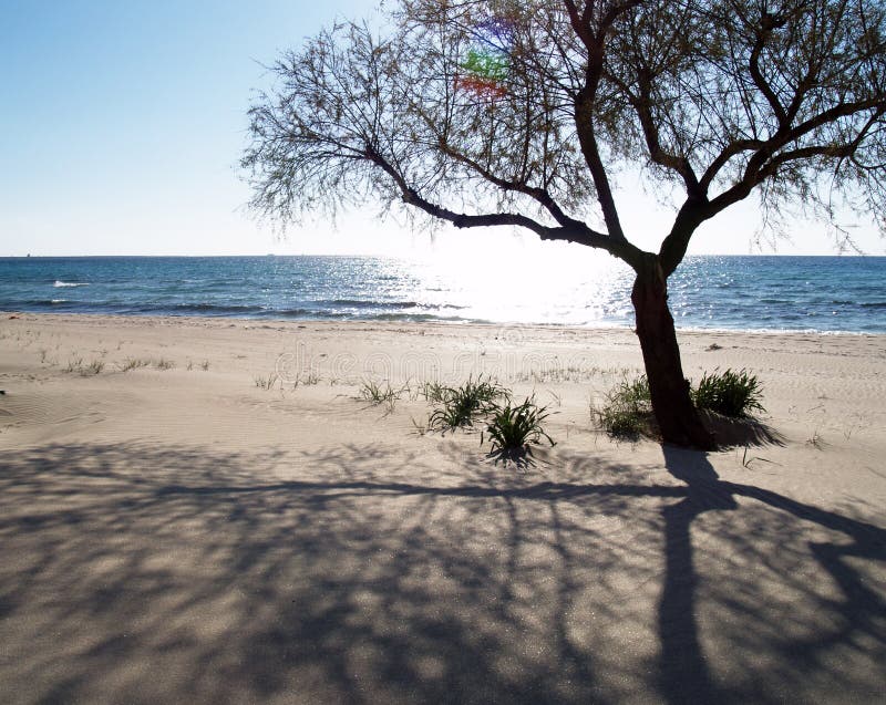 Dream beach stock photo. Image of relax, grow, boat, coast - 4720918