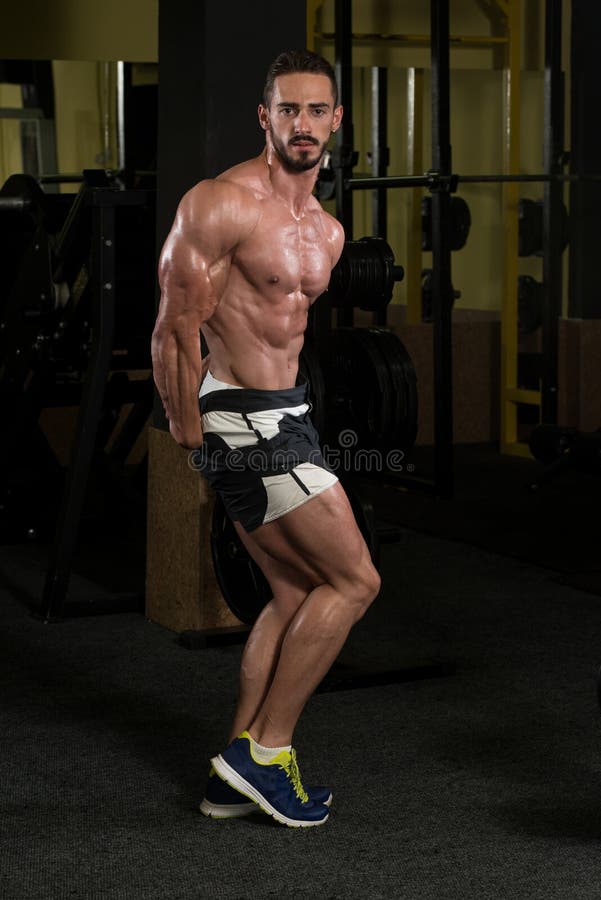 Dream Body stock image. Image of fitness, high, biceps - 63724587