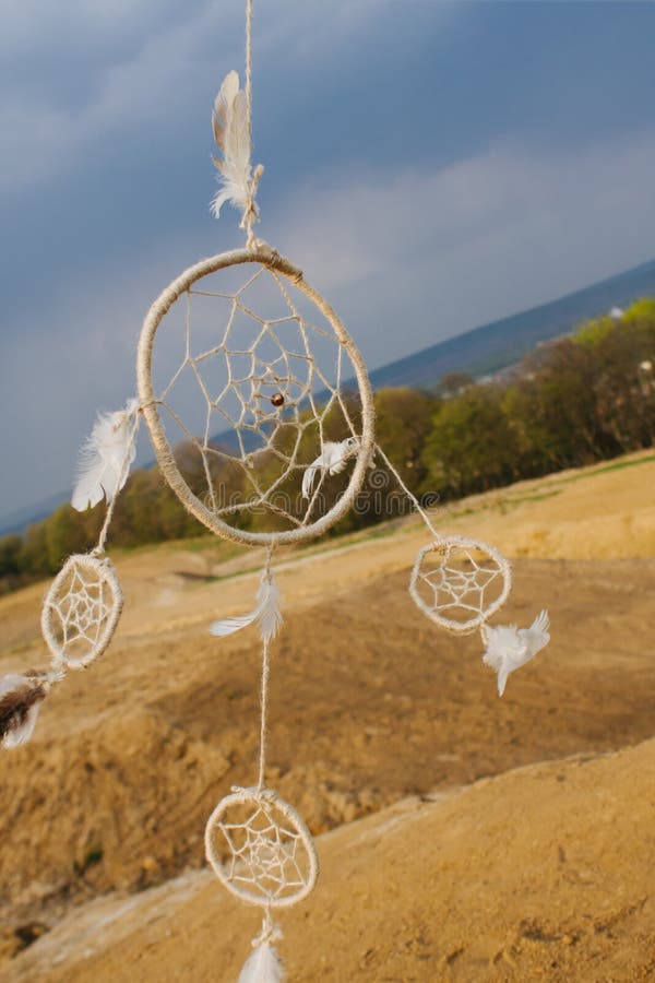 Dream Catcher Hanging from a Tree in a Field at Sunset Stock Image ...