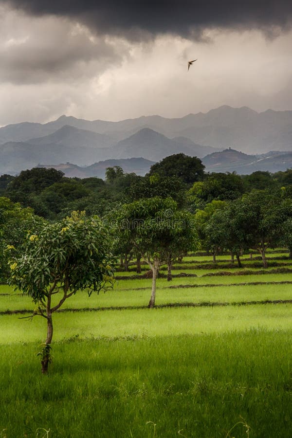 Dream farm stock photo. Image of planted, mountains, farm - 40056656