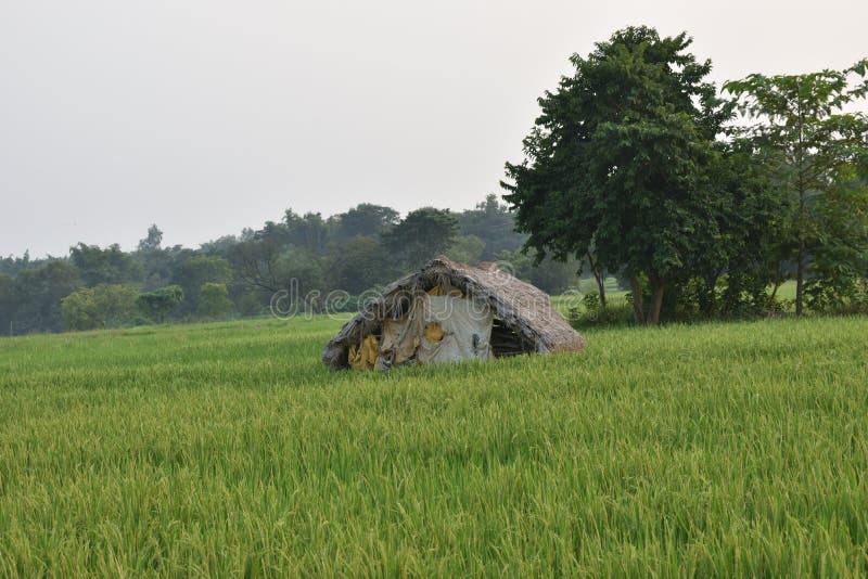 Dream House in India or Magic House Stock Photo - Image of natural ...
