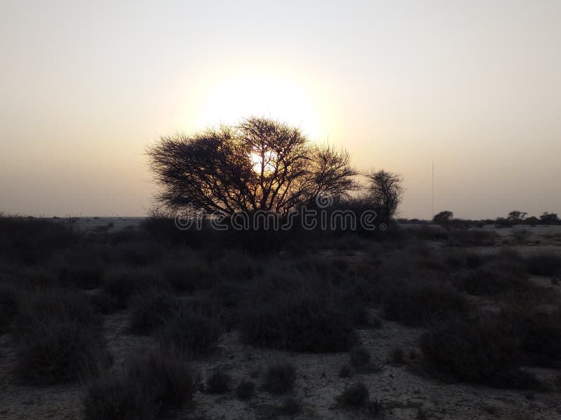 Dream land desert stock image. Image of darkness, sunrise - 229352877