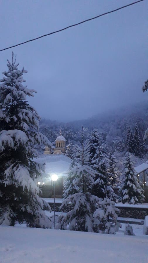 Dream landscape the winter stock photo. Image of spruce - 259120728