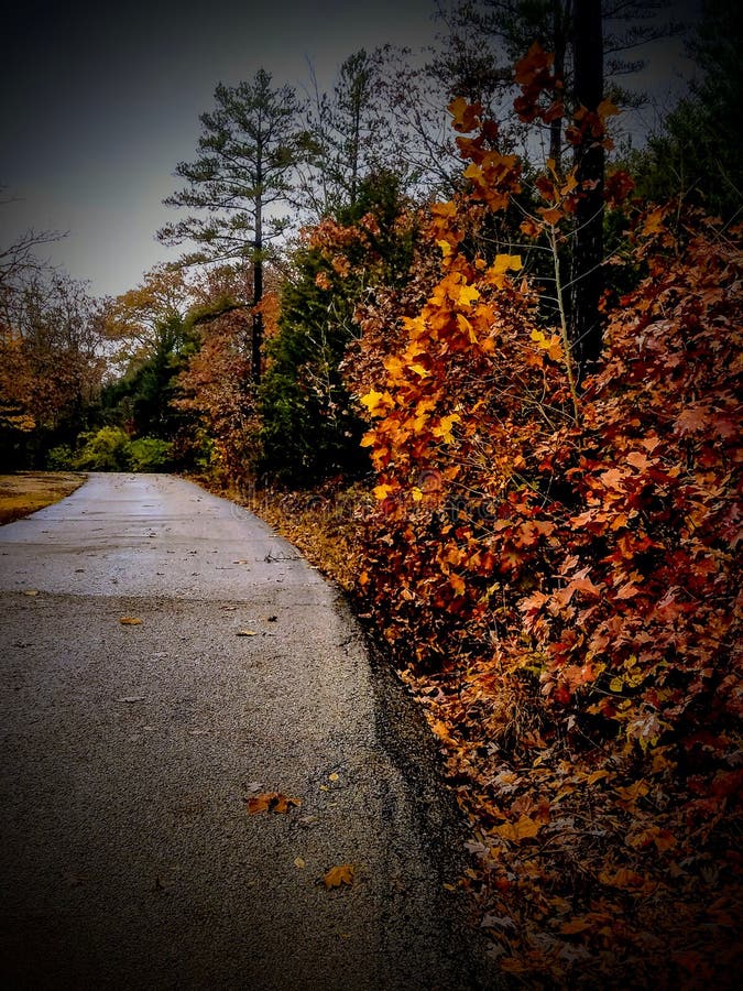 Dream path stock photo. Image of path, fall, dream, country - 132695114