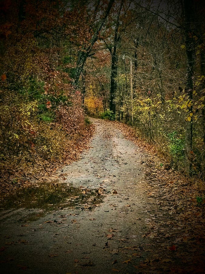 Dream path stock image. Image of scenic, path, country - 132695113