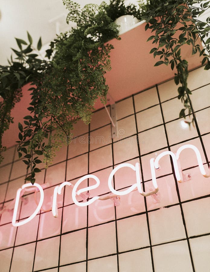 Dream Pink Neon Sign on a Wall Stock Image - Image of digital, plants ...
