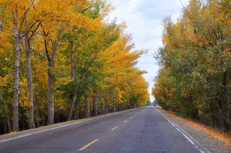 Dream road stock photo. Image of fine, autumn, golden - 25941220