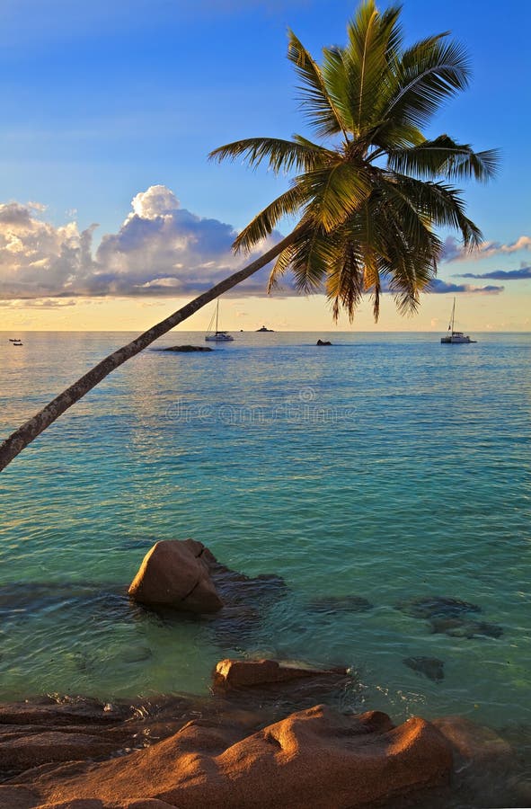 Dream seascape view stock photo. Image of equator, horizon - 18182706