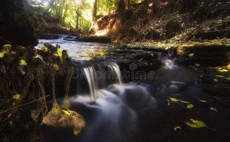 Dream stream stock photo. Image of green, relax, brook - 10064070