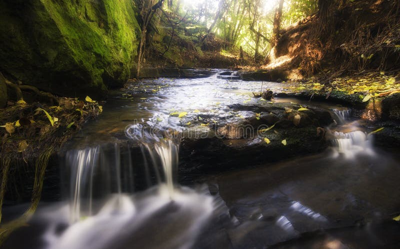 Dream stream stock photo. Image of green, relax, brook - 10064070