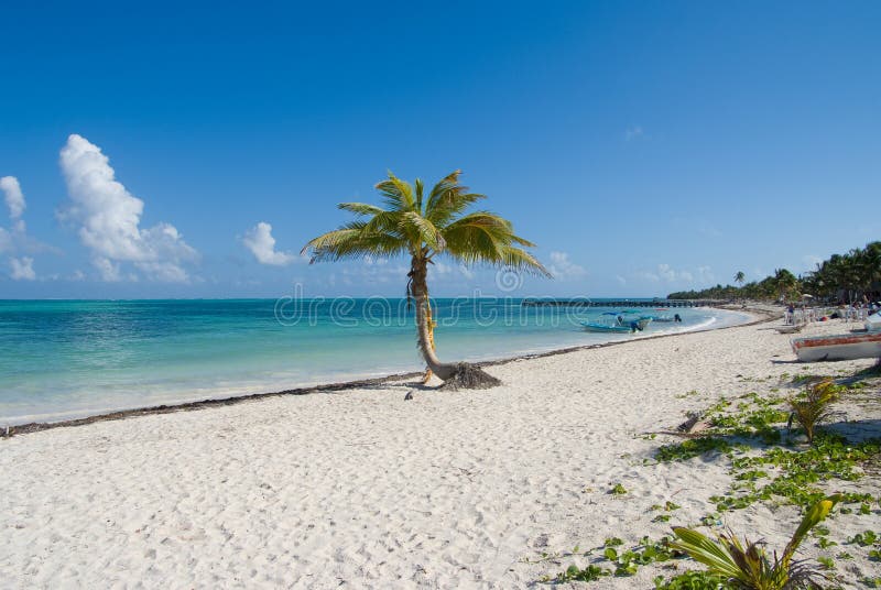 Dream vacation stock photo. Image of tropical, tide, warm - 12316302