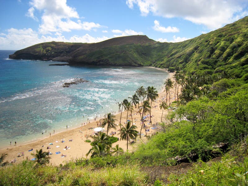 Dream Vacation, Hawaii Picture. Image: 7966309