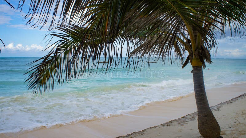 Dream View of Beach and Ocean Stock Image - Image of sand, blue: 185654915