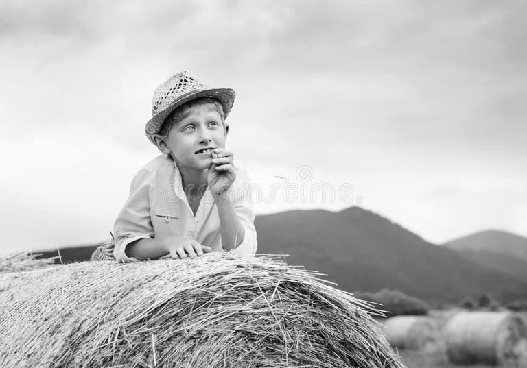 Dreaming Boy Lying on the Rolling Haystack Stock Image - Image of lying ...