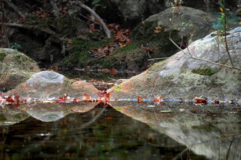 Dreaming Fish with Closed Eyes Stock Image - Image of relax, aquatic ...