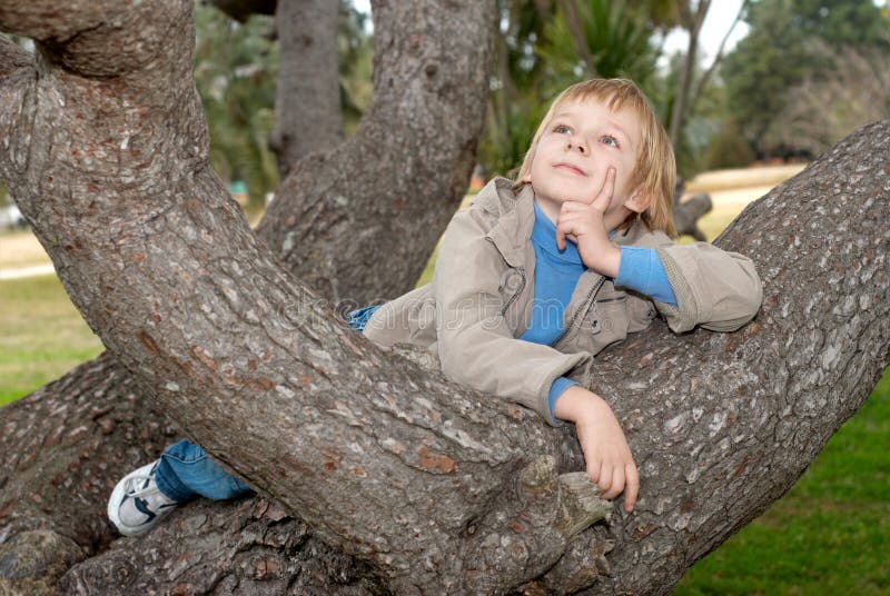 The Dreaming Little Boy on a Tree. Stock Image - Image of future ...