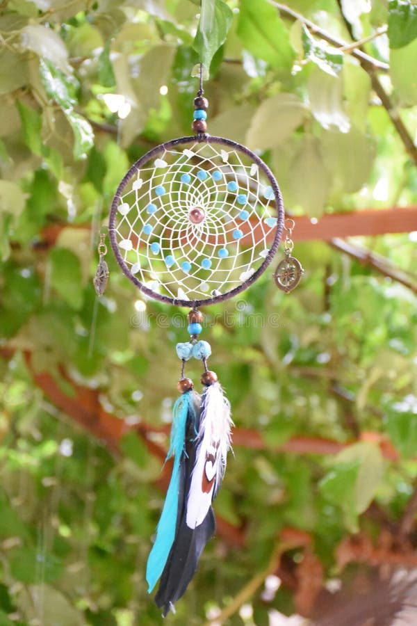 Dreams catcher stock photo. Image of rainy, hung, tree - 336076448