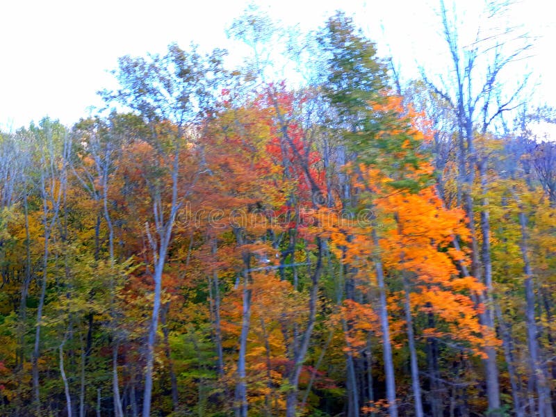 Dreams in fall colors stock photo. Image of colors, fall - 164548382