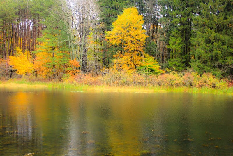 Dreams of fall stock image. Image of dreams, fall, vision - 45887787