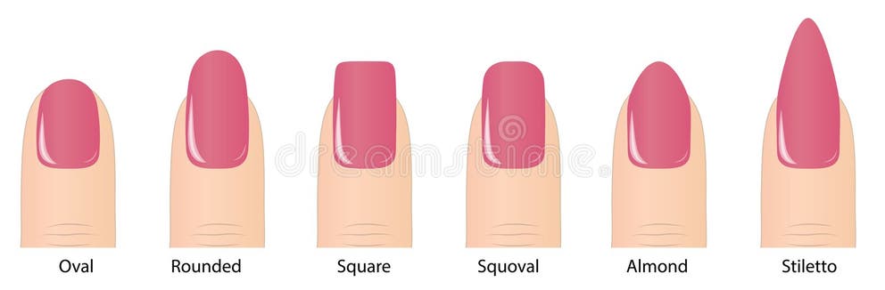 Nail Shape Manicure. Type of Fingernail Extension. Professional ...