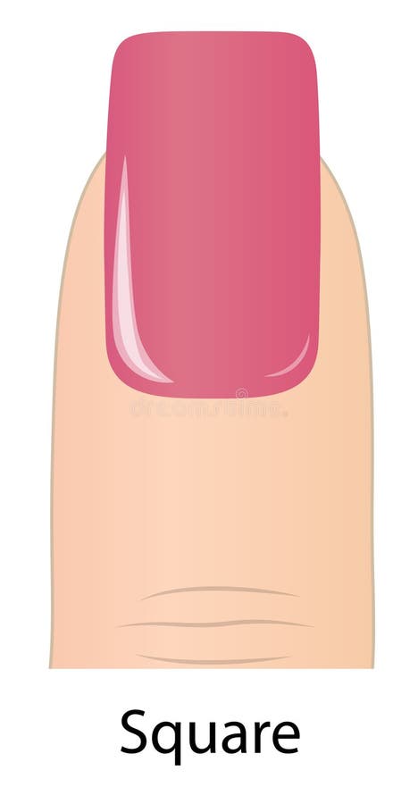 Nail Shape Manicure. Type of Fingernail Extension. Professional ...