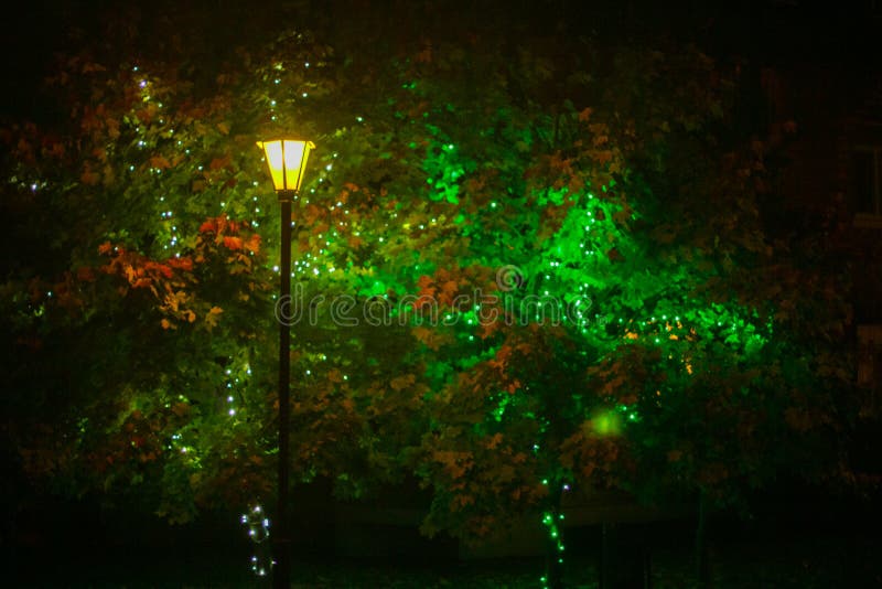 606 Dreamtime Stock Photos - Free & Royalty-Free Stock Photos from ...