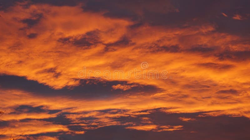 559 Dreamtime Photos - Free & Royalty-Free Stock Photos from Dreamstime