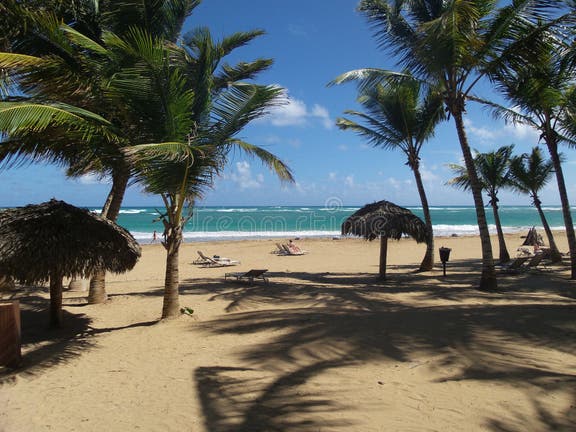 628 Dreamtime Stock Photos - Free & Royalty-Free Stock Photos from ...