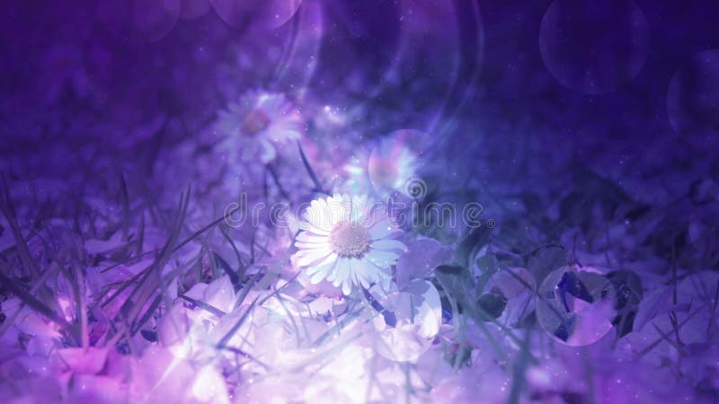Dreamy Floral Fantasy Background Loop Stock Footage - Video of ...