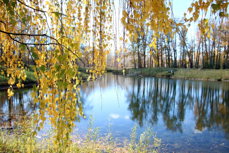 Dreamy Lake Scene stock image. Image of meadow, scenary - 92716373