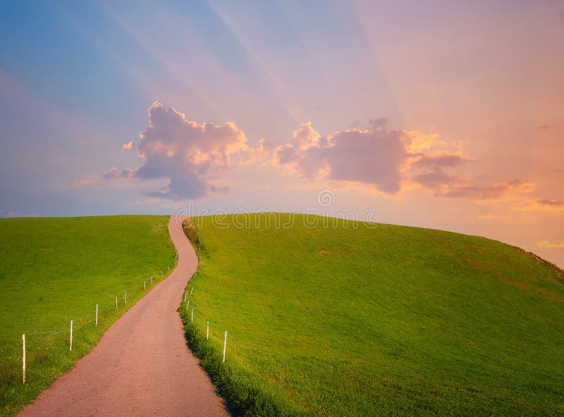 Dreamy Path through Aspen stock photo. Image of california - 470556