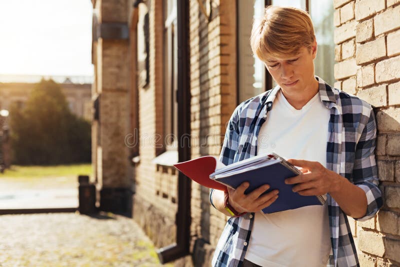 Dreamy Productive Man Looking through His Notes Stock Image - Image of ...