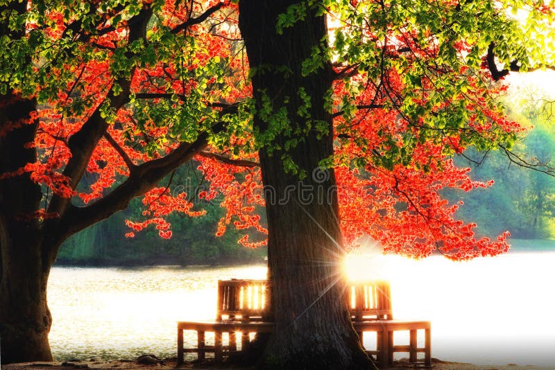 Dreamy resting place stock image. Image of reflection - 37899497