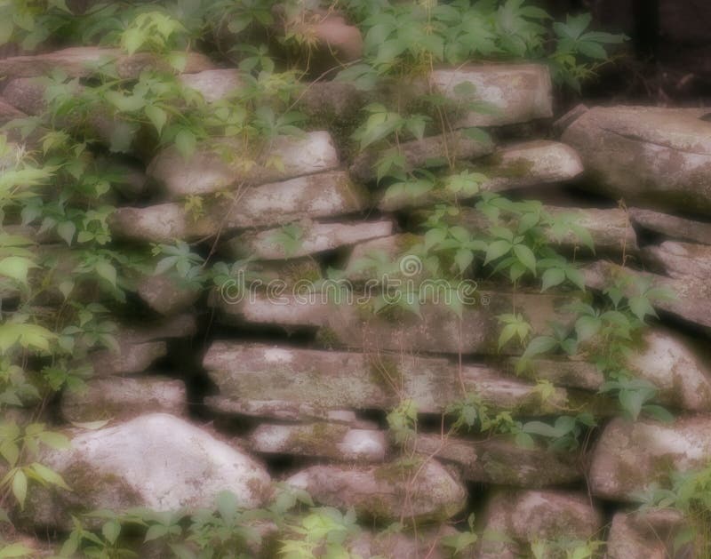 Dreamy Stone Wall stock photo. Image of texture, tint - 3569906