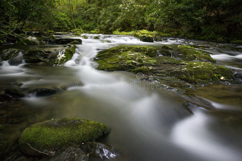 Dreamy Stream in the Great Smoky Mountains Stock Photo - Image of water ...