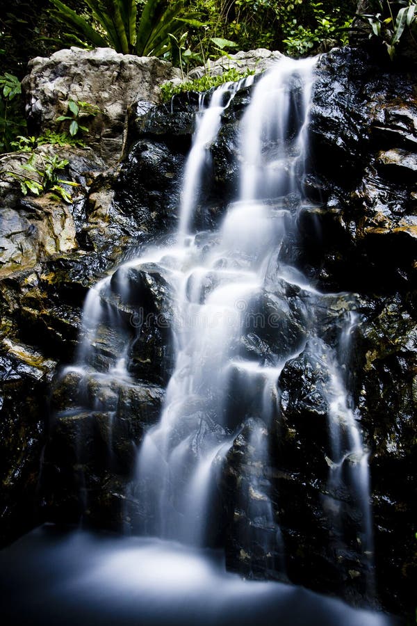 Dreamy Waterfall in the Forest Stock Photo - Image of height ...