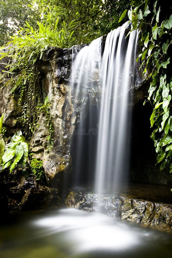Dreamy Waterfall in the Forest Stock Image - Image of purity, natural ...