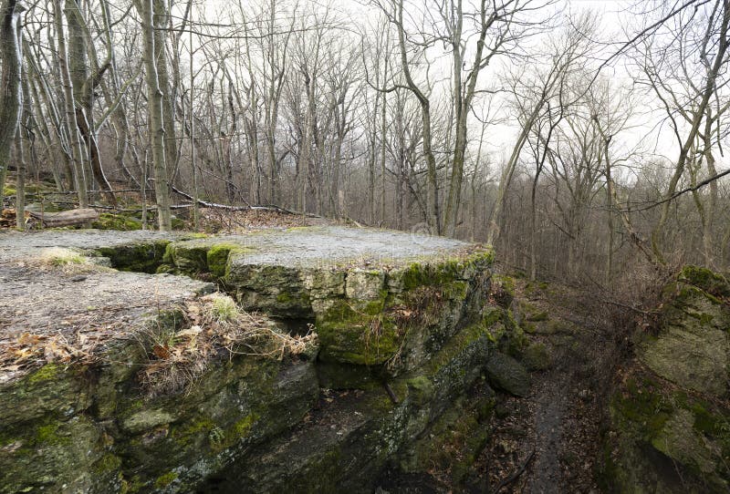 Background Woods, Forest, Rock Ledge Stock Photo - Image of light ...