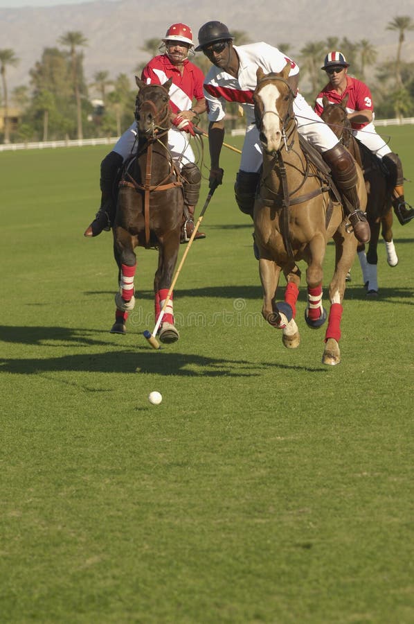 Polo Players Playing Match stockfoto. Bild von polo, interracial - 33901986