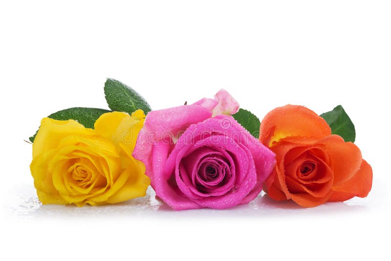 Drei Rosen Bild. Bild: 1776051