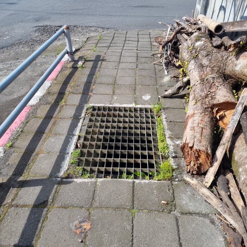 Drenar La Cubierta De Drenaje De La Parrilla En La Acera Foto de ...