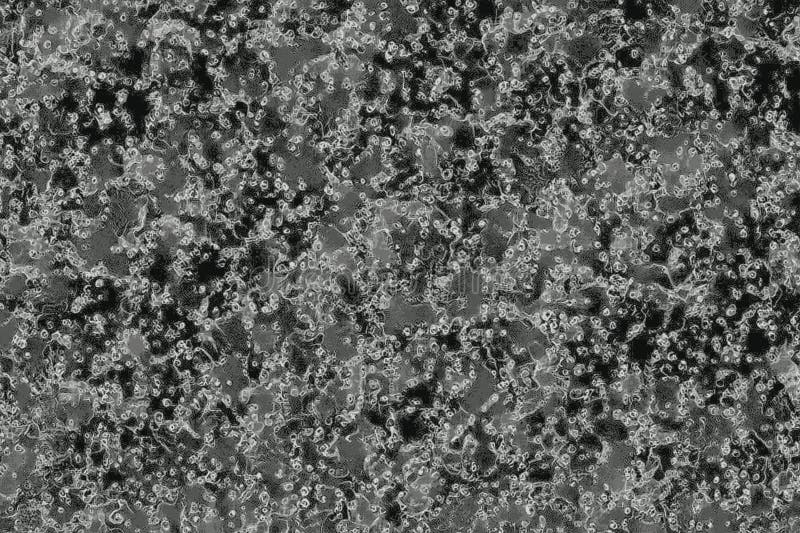 Drenched Texture of a Liquid with Gas Bubbles Stock Illustration ...